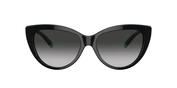 Tiffany & Co. Sunglasses - Grey Gradient