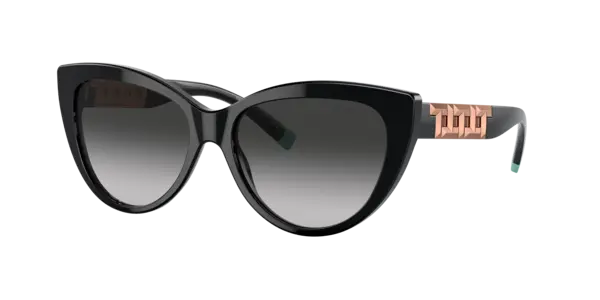 Tiffany & Co. Sunglasses - Grey Gradient