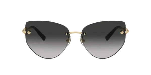 Tiffany & Co. Sunglasses