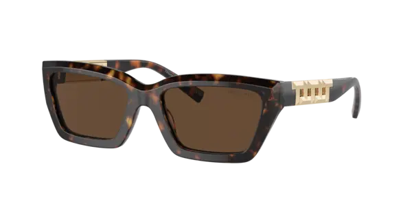 Tiffany & Co. Sunglasses - Light Brown