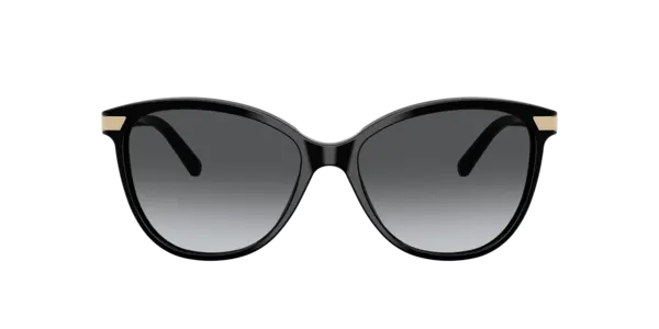Burberry Be4216 Sunglasses - Polarized Grey Gradient