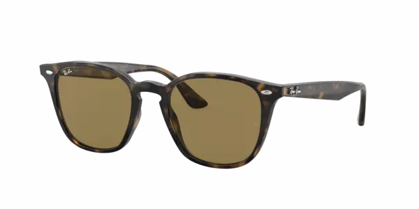 Ray-ban Rb4258f Sunglasses - B-15 Brown