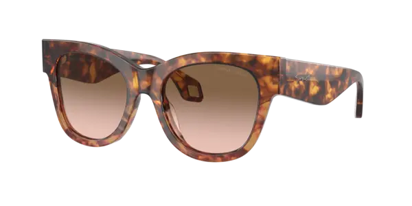 Giorgio Armani Sunglasses - Gradient Brown