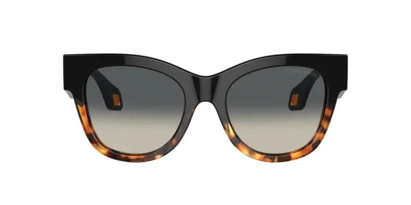 Giorgio Armani Sunglasses - Grey Gradient