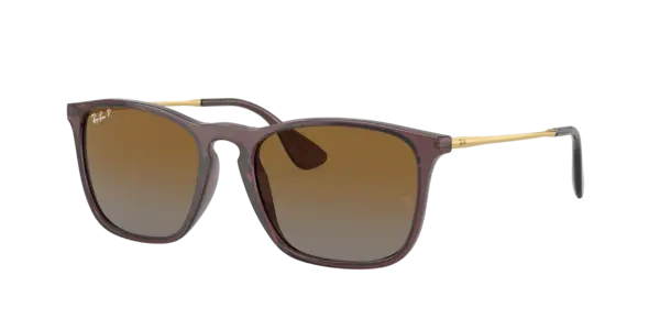 Ray-ban Sunglasses - Brown Polarized