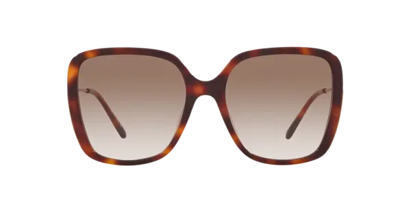 Chloé Ch0173s Sunglasses - Brown