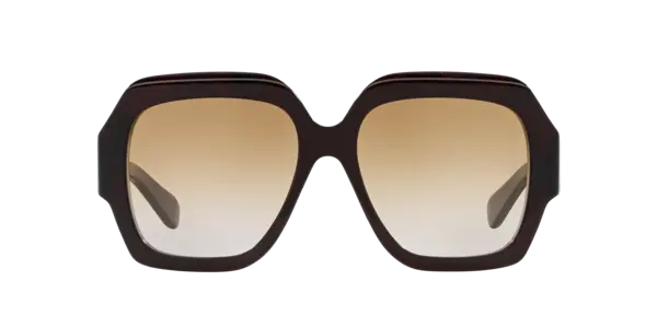 Chloé Ch0154s Sunglasses - Brown