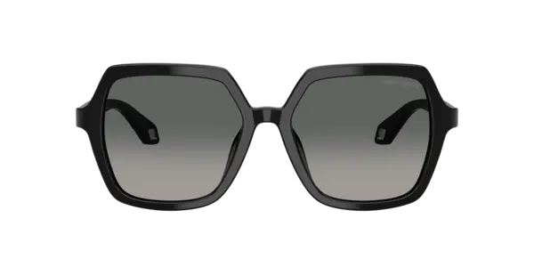 Giorgio Armani Sunglasses - Gradient Grey