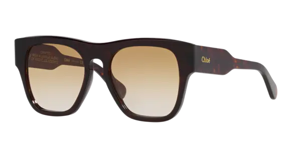 Chloé Ch0149s Sunglasses - Brown