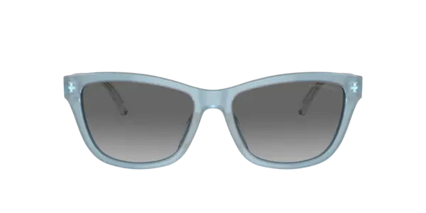 Emporio Armani Sunglasses - Grey Gradient