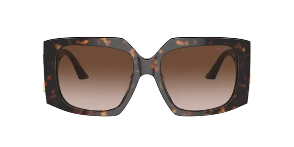 JIMMY CHOO Sunglasses - Gradient Brown