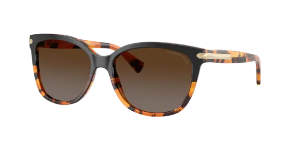 COACH Sunglasses - Brown Gradient Polarized
