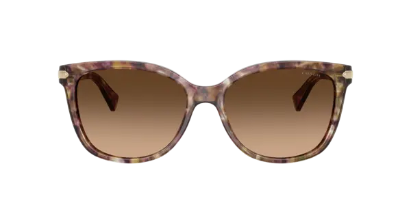 COACH Cat Eye Sunglasses - Brown Gradient
