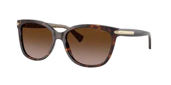COACH Sunglasses - Dark Brown Gradient