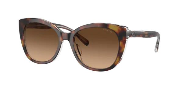 COACH Full Rim Sunglasses - Brown Gradient