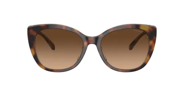 COACH Cat Eye Sunglasses - Brown Gradient