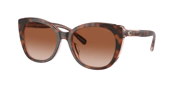 COACH Full Rim Sunglasses - Brown Pink Gradient