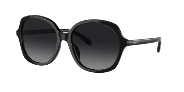 COACH Sunglasses
