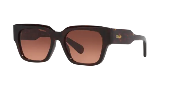 Chloé Ch0190s Sunglasses - Copper