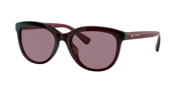 Coach Sunglasses - Burgundy Solid Polar