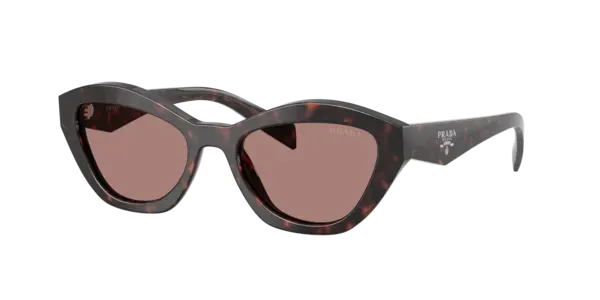 Prada Sunglasses - Dark Brown