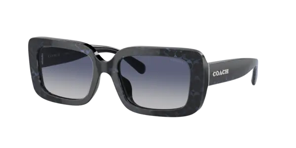COACH Signature Sunglasses - Blue Gradient