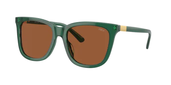 Polo Ralph Lauren Sunglasses - Brown