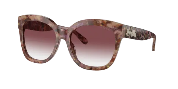 COACH Hc8264 L1083 Sunglasses - Purple Clear Gradient