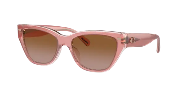 COACH Sunglasses - Brown Gradient