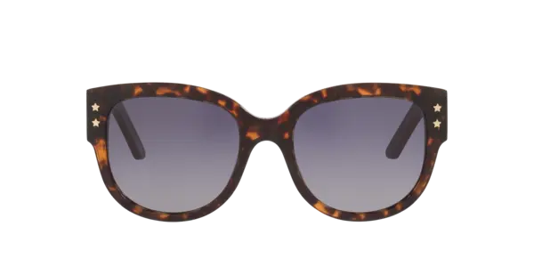Dior Sunglasses - Grey Gradient
