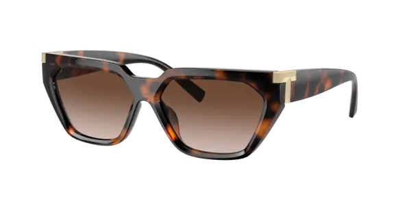 Tiffany & Co. Sunglasses - Brown Gradient