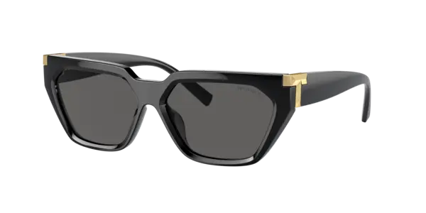 Tiffany & Co. Sunglasses - Dark Grey