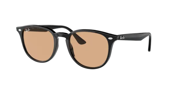 Ray-ban Black Frame Sunglasses - Brown