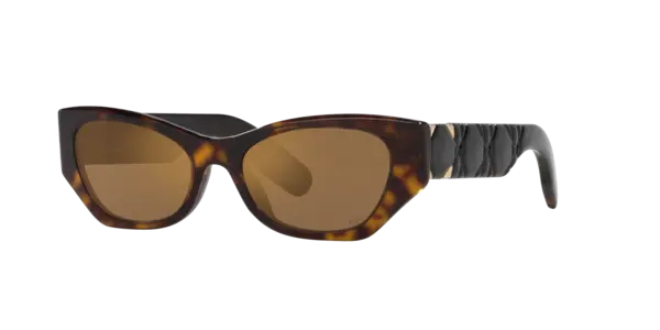 Dior Lady 95 Sunglasses - Brown