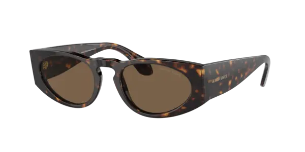 Giorgio Armani Full Rim Sunglasses - Dark Brown