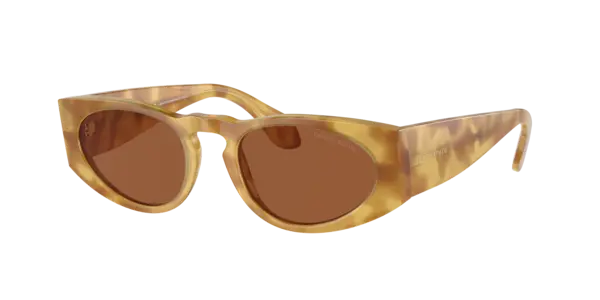 Giorgio Armani Full Rim Sunglasses - Dark Brown