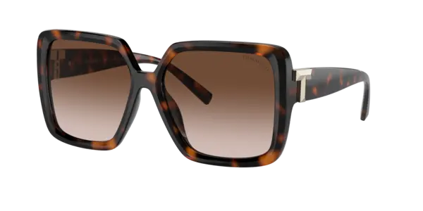 Tiffany & Co. Sunglasses - Brown Gradient