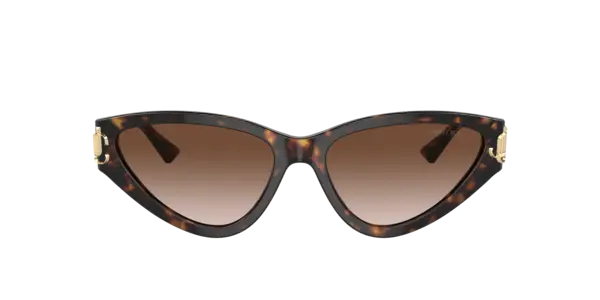 JIMMY CHOO Sunglasses - Gradient Brown