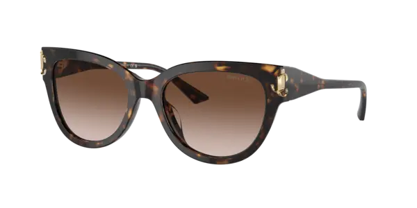 JIMMY CHOO Sunglasses - Gradient Brown
