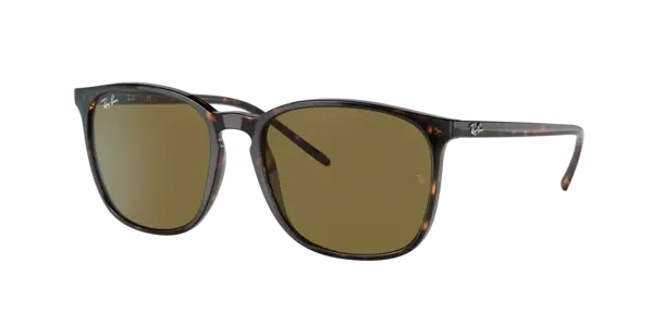 Ray-ban Sunglasses - Brown Classic