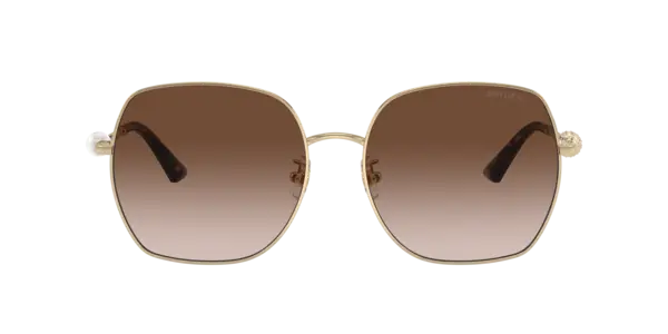 JIMMY CHOO Sunglasses - Gradient Brown