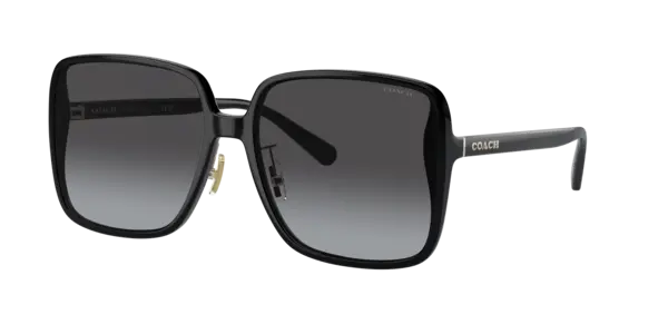 COACH Sunglasses - Grey Gradient