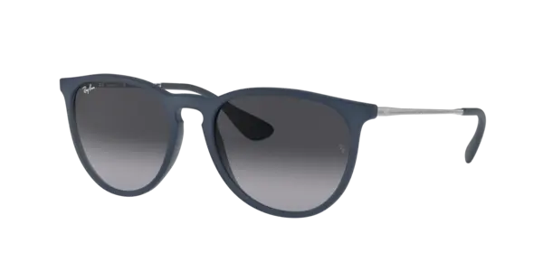 Ray-ban Erika Color Mix Sunglasses - Grey Gradient