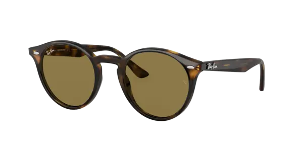 Ray-ban Round Frame Sunglasses - B-15 Brown