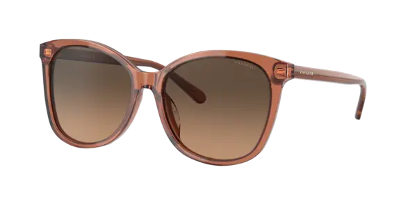 COACH Hc8271u L1101 Sunglasses - Brown Gradient