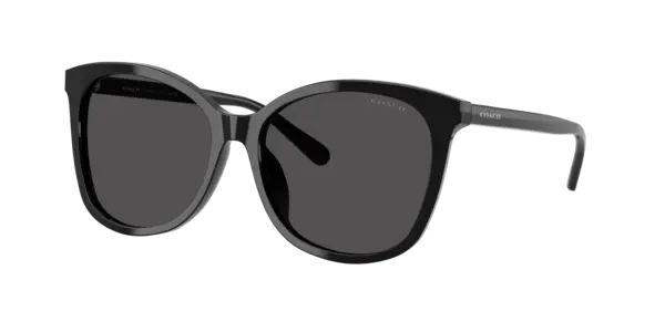 COACH Hc8271u L1101 Sunglasses - Dark Grey