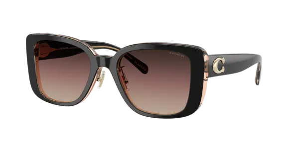 COACH Sunglasses - Brown Purple Gradient