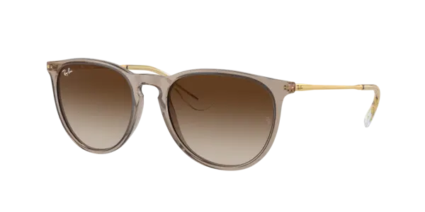 Ray-ban Erika Classic Sunglasses - Brown Gradient