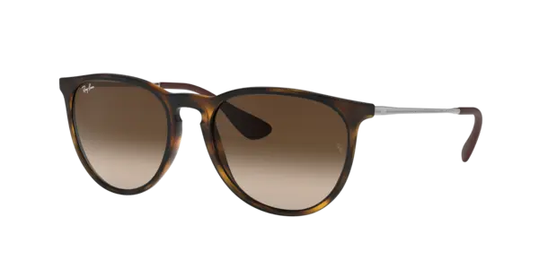 Ray-ban Erika Classic Sunglasses - Brown Gradient