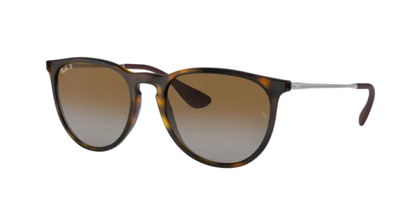 Ray-ban Erika Classic Sunglasses - Brown Gradient
